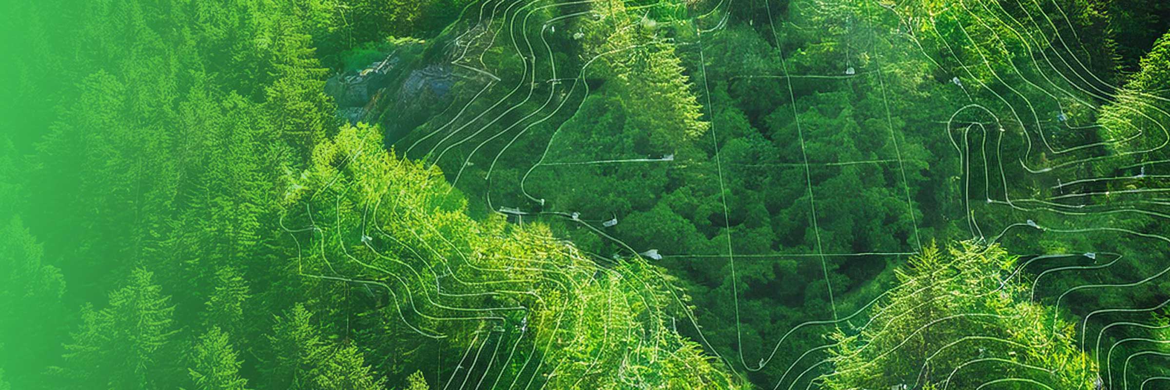 TraceGains Partners with Global Forest Watch Pro to Strengthen ESG ...